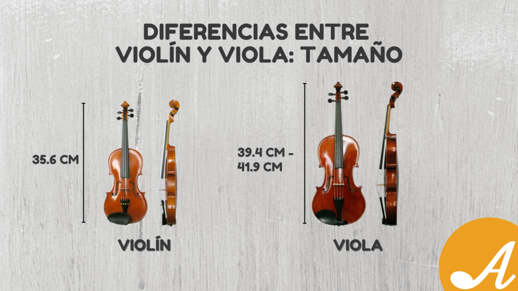 Diferencias entre violín y viola