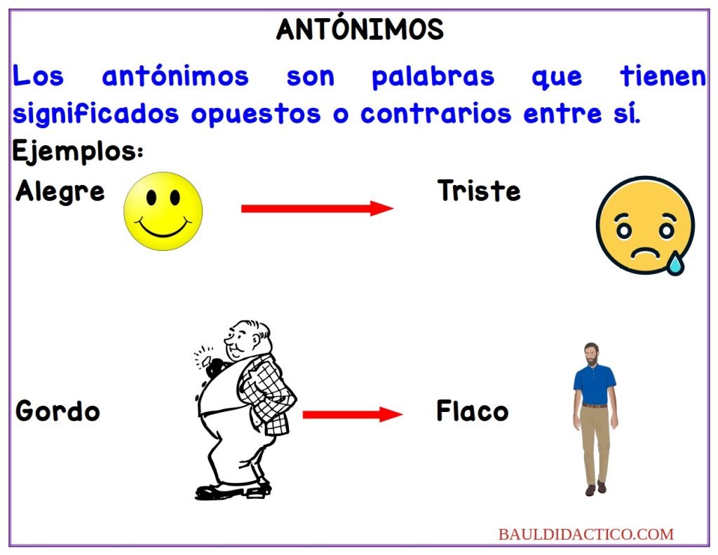 Ejemplos de antónimos complementarios en el lenguaje cotidiano
