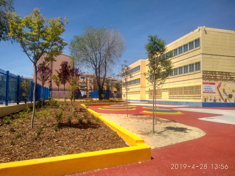 Cómo mantener el patio de la escuela limpio y saludable