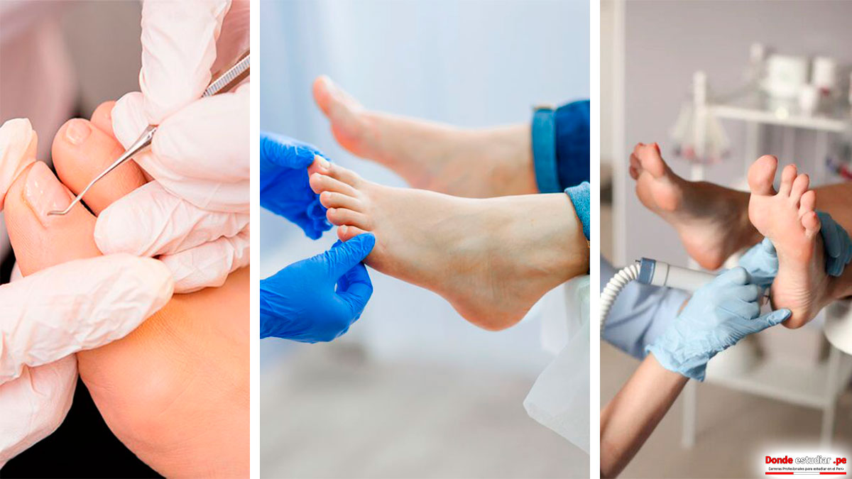 Dónde estudiar podiatría